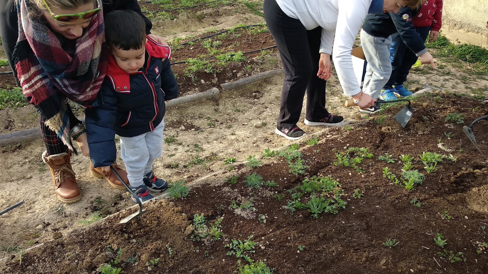 elhuertoescolarcprvalledeandaraxcurso2020-2021: ¡Vamos a plantar!