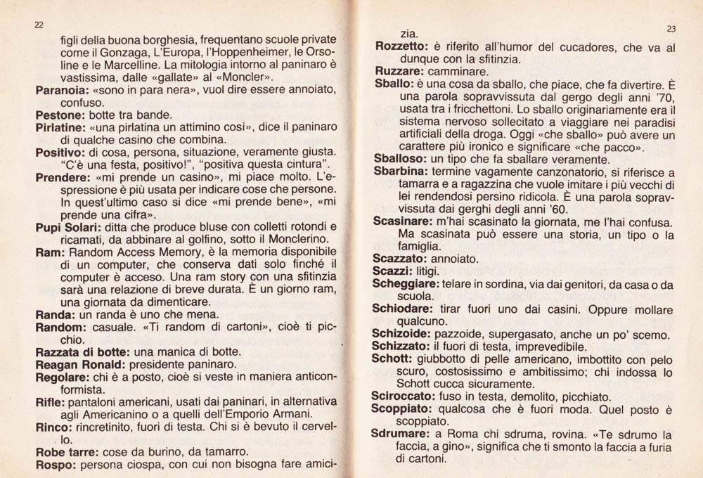 Il dizionario del Paninaro