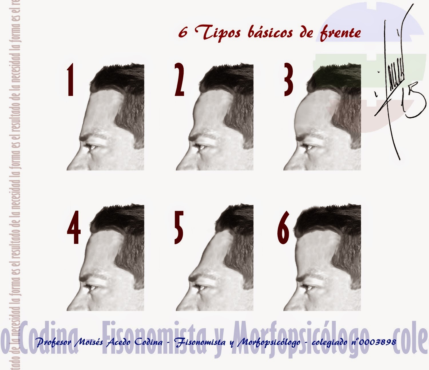 Moisés Acedo Codina: 6 TIPOS BÁSICOS DE FRENTE
