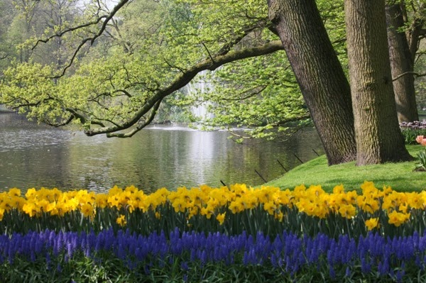 ㅤ: O sonho do Verde!