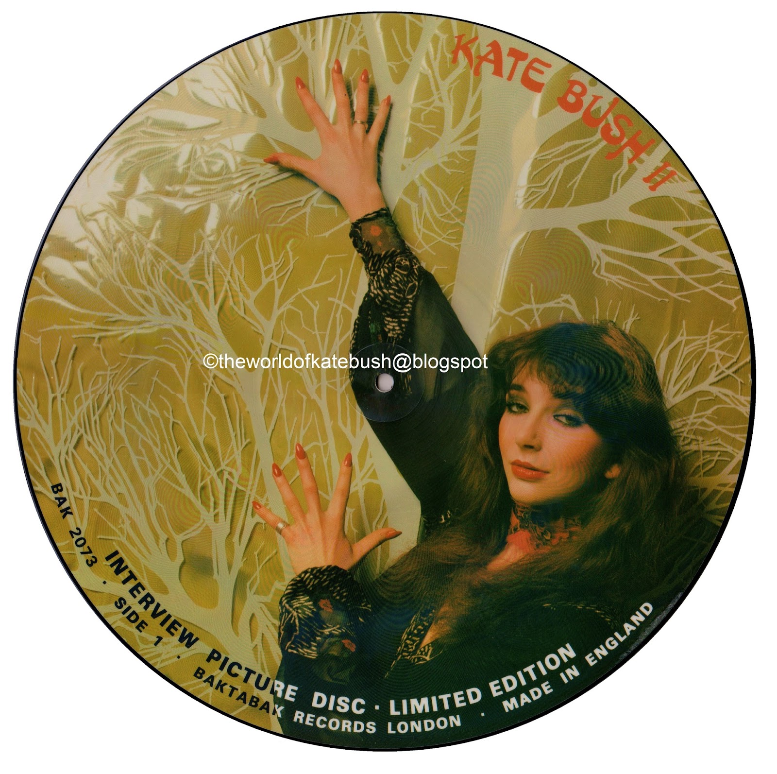 THE WORLD OF KATE BUSH: Baktabak Records: The Dreaming - 12" Interview ...