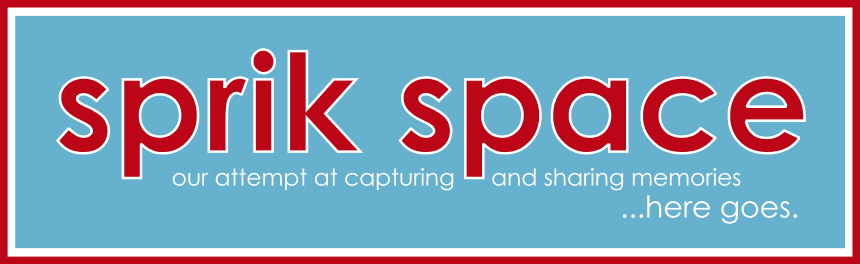 Sprik Space: Just because (30)