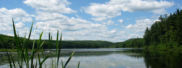 Sandy Brook Conservation Corridor