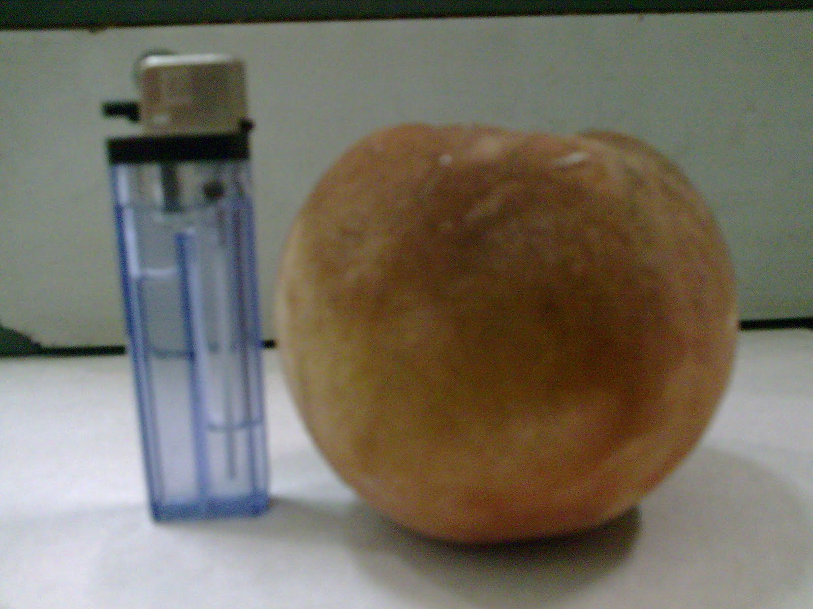 Tanaman Buah: Tanaman Langka Jawa Barat