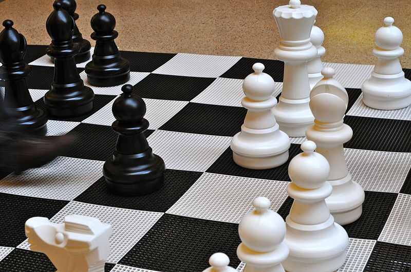 THE SPORTS: Sports of Chess