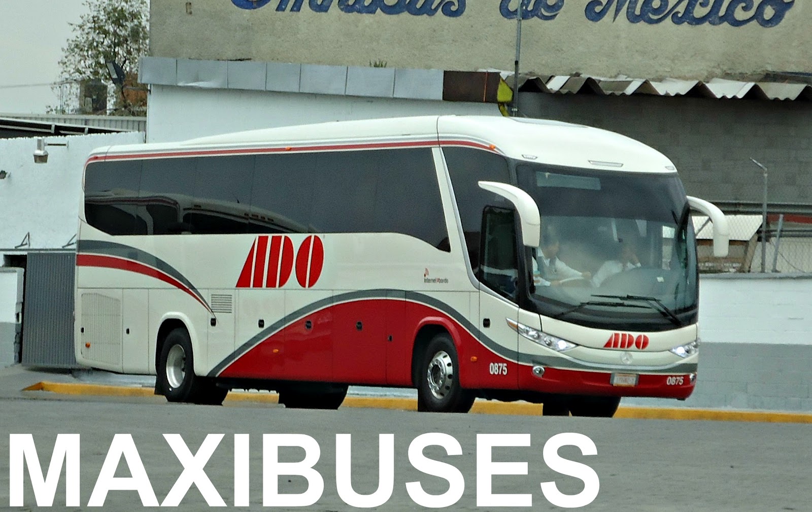 MAXIBUSES: AUTOBUSES DEL ORIENTE (ADO) - NUEVAS UNIDADES
