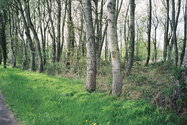 Professional Practice: Laura Hynd Talk