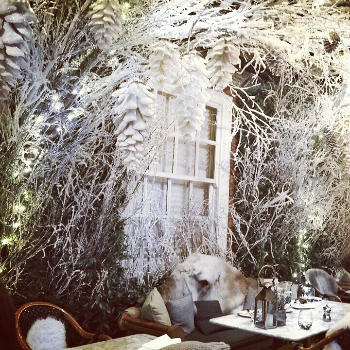 Dalloway Terrace Winter Wonderland - The Life of a Social Butterfly ...