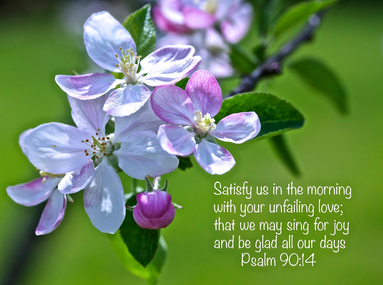 It Is Well With My Soul Psalm 90 14 It Is Well With My Soul Psalm 90 14