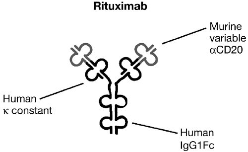 Esclerosis-Multiple-MSblog: Anti- Rituximab antibodies and MS / Anti ...
