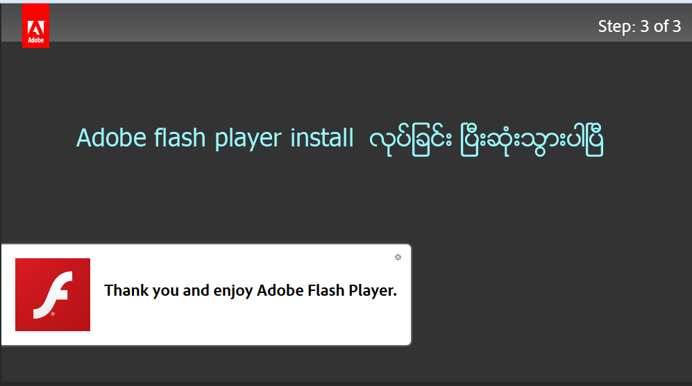 Adobe flash player offline installer for ie : bytego
