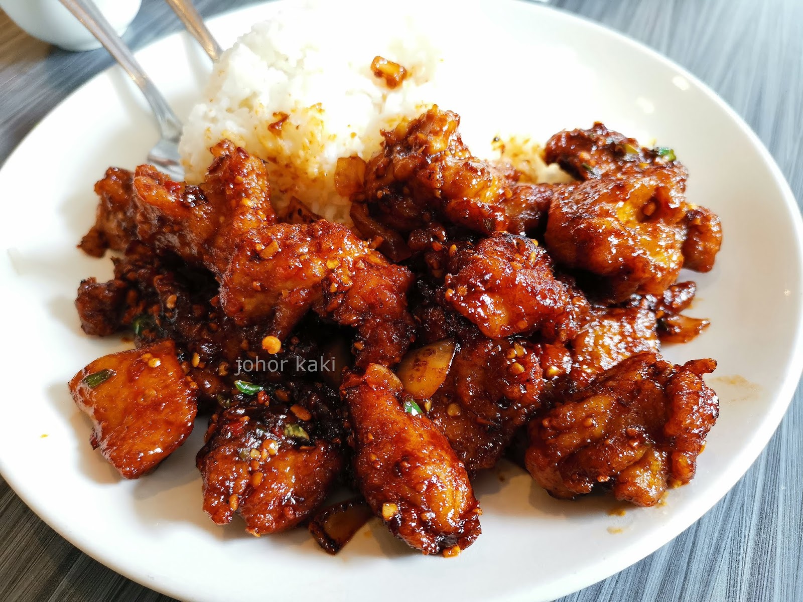 Yueh Tung Hakka Indian Restaurant in Downtown Toronto |Tony Johor Kaki ...