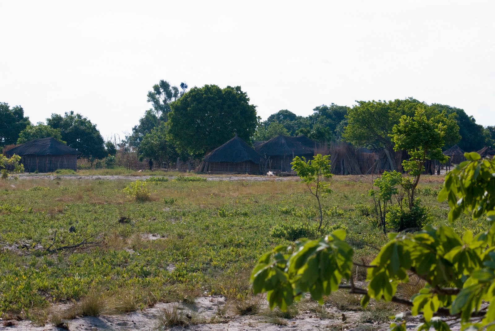 la rutina diaria: 3 days in liuwa plain, back in kalabo village for a night