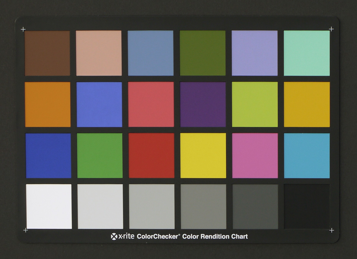 Neutral color and Accent color Palette | Monika Kaushik