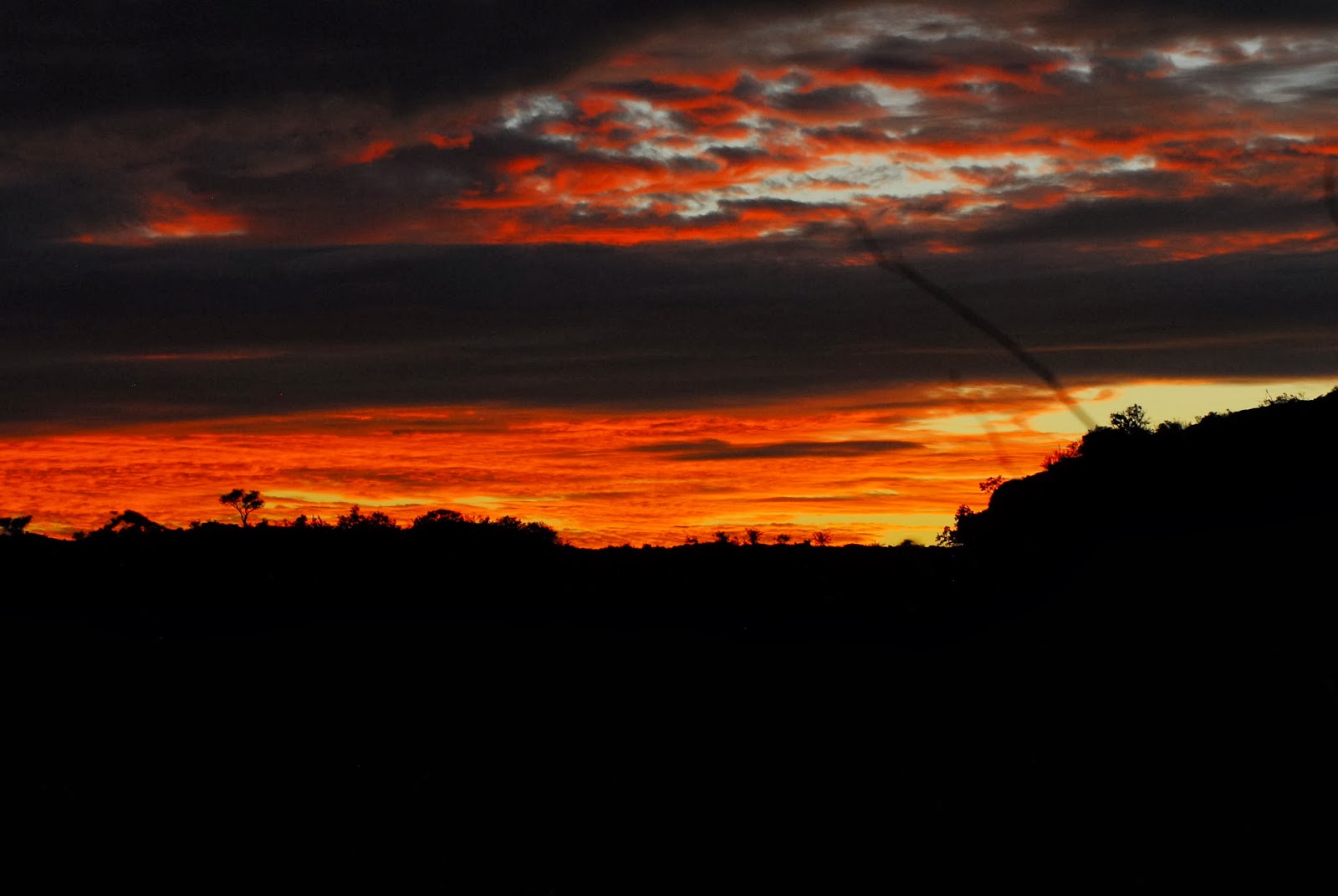 The Great Wildebeest Migration: Sunrise in Zimbabwe / Sunset in ...