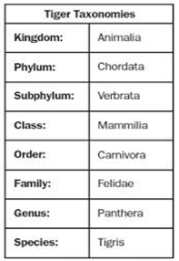 Ms. Raino's Science Classroom!: Classification of Organisms by Maicel