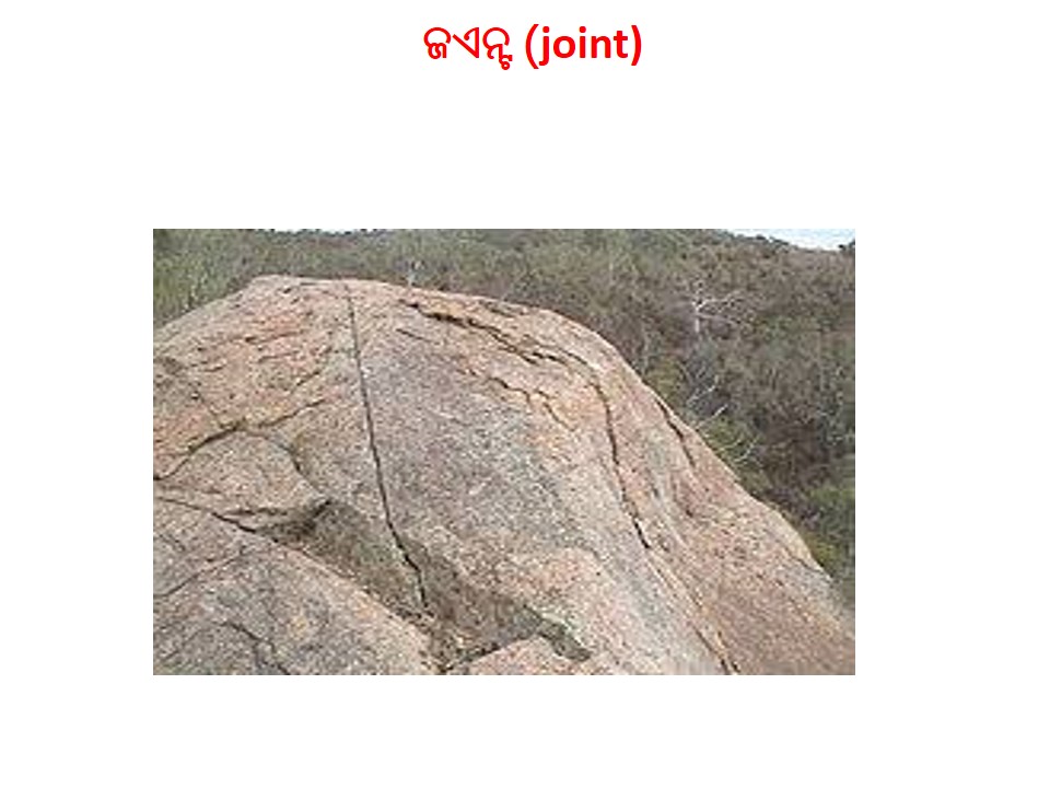 Formation of Coal ,Types of rocks and Geological Disturbances.
