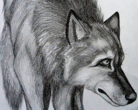 Le Roman de Renart: octobre 2012