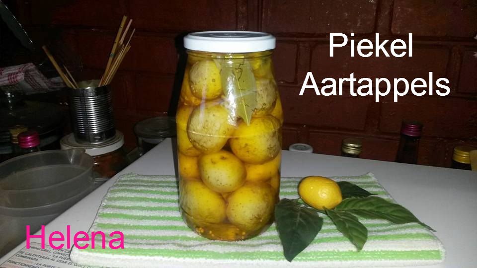 LEKKER RESEPTE VIR DIE JONGERGESLAG: 2017