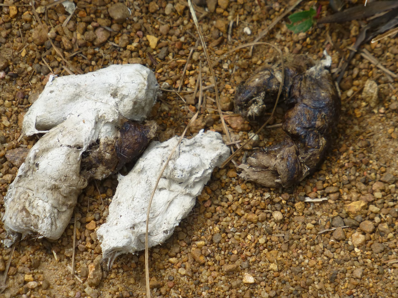 Pension lawyer meets world: Worlds End