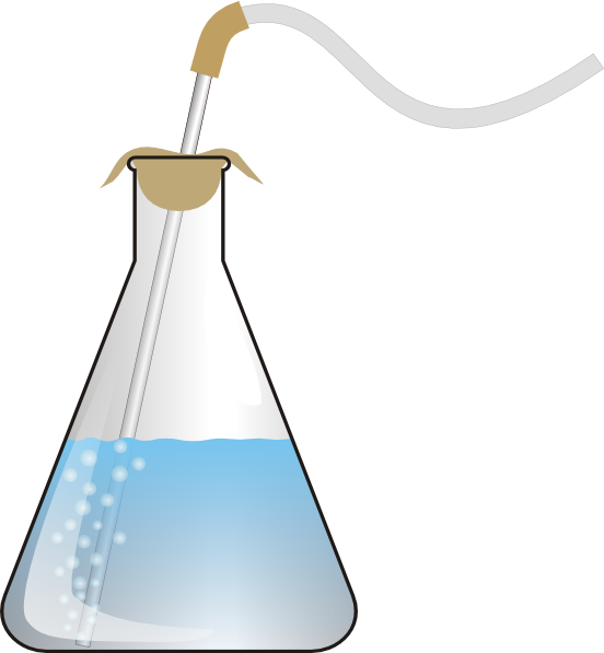 Mrs Remis Science Blog 8th Grade LAB EXPERIMENT VARIABLES ASSIGNMENT Mrs Remis Science Blog 8th Grade LAB EXPERIMENT VARIABLES ASSIGNMENT