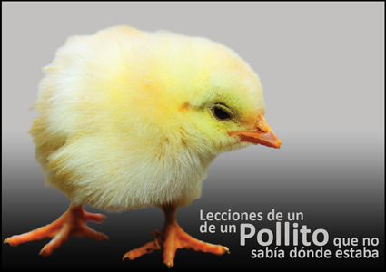 Blog de José Carlos Vicente: Sharing Ideas-josecavd | Comunicación ...