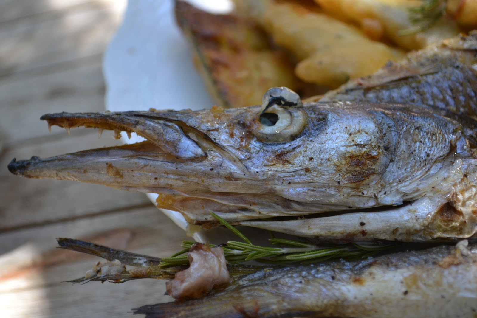 Cornflower Kitchen: Hvar - the Pakleni islands and a hidden fish ...