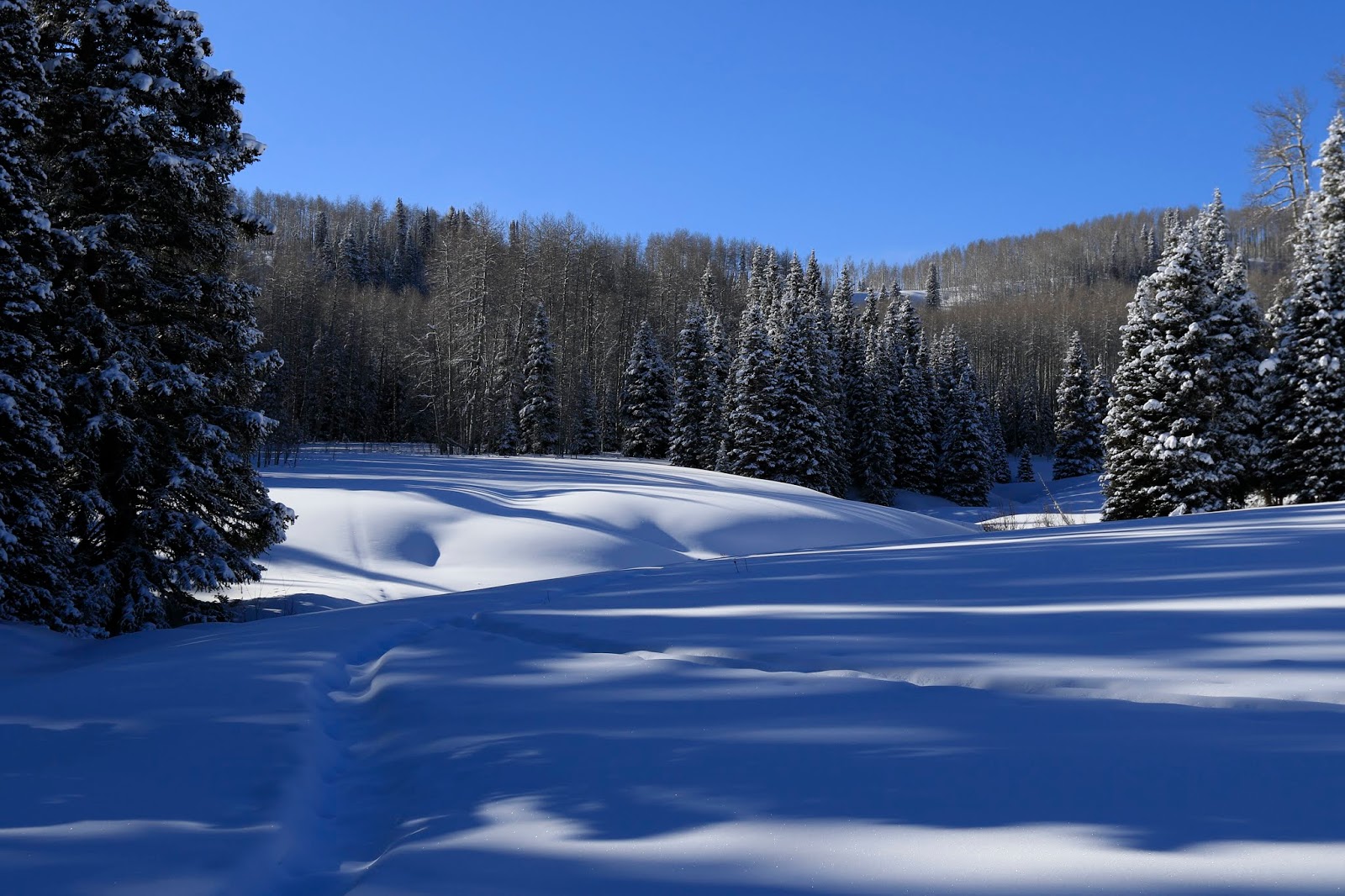 gjhikes.com: Upper Meadow Loop