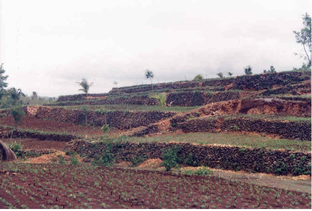 Teras Tangga (lanjutan..Konservasi Tanah Dan Air-5/10) | Forest4BetterLife