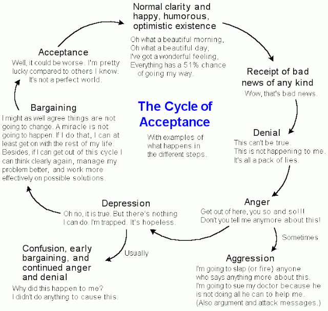 The Unperfect Mummy: Guilt and other negative emotions...