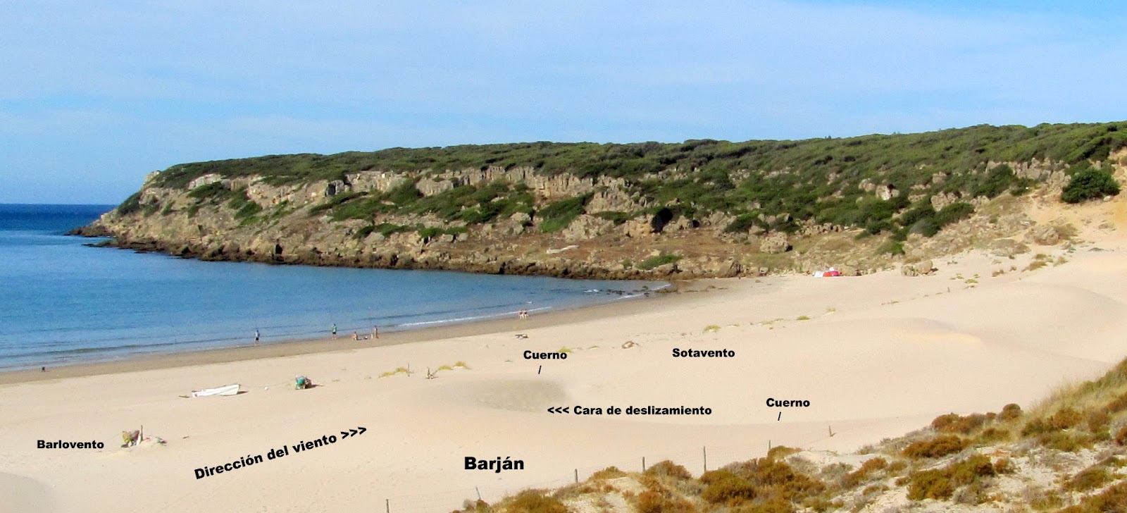 TROTONES BLOG: Duna de Bolonia