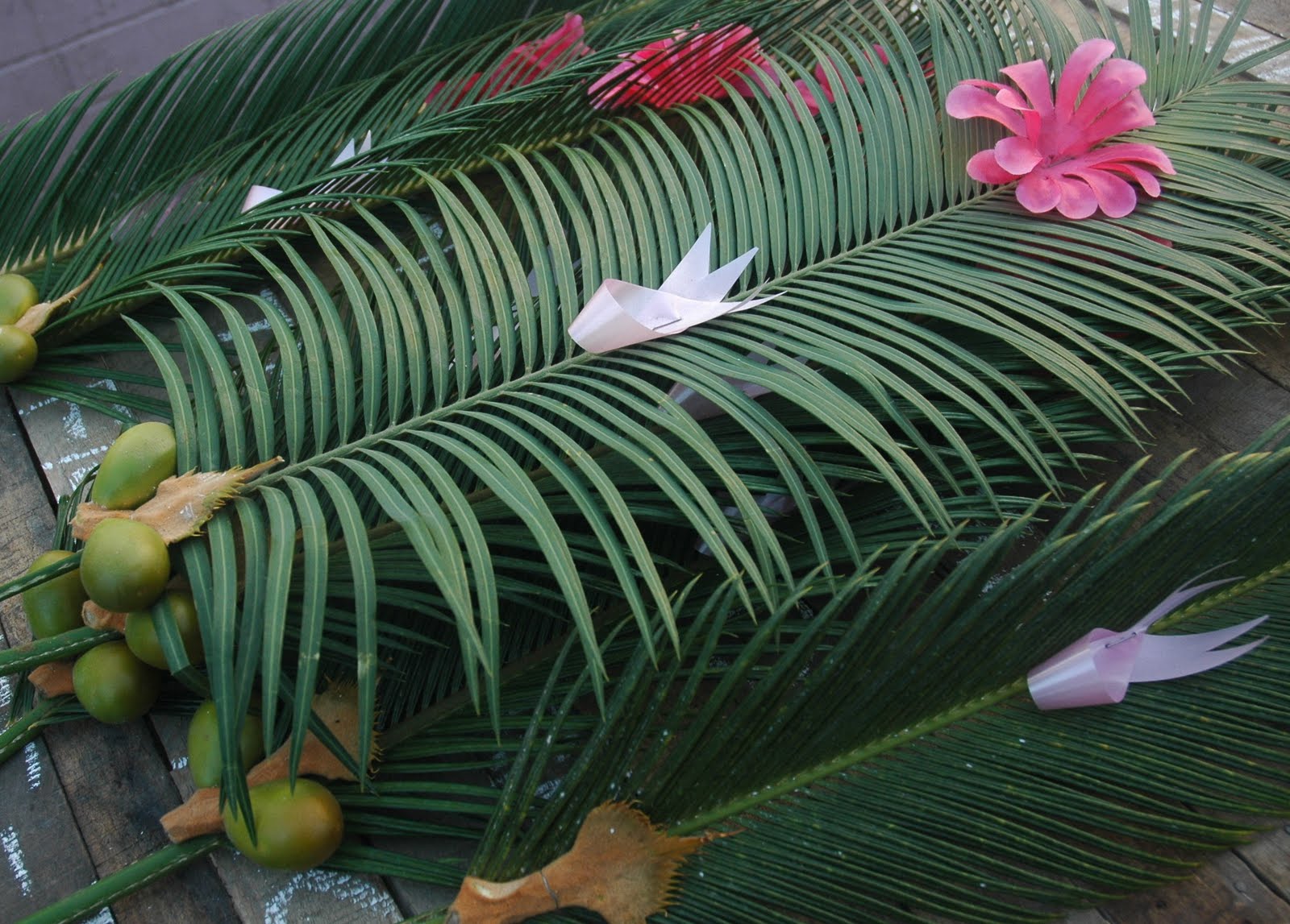Naquem.: Palm Sunday palaspas of San Antonio, Zambales from the ...