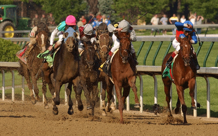 WRLTHD: Animal Kingdom rides to victory in Kentucky Derby 2011 before ...