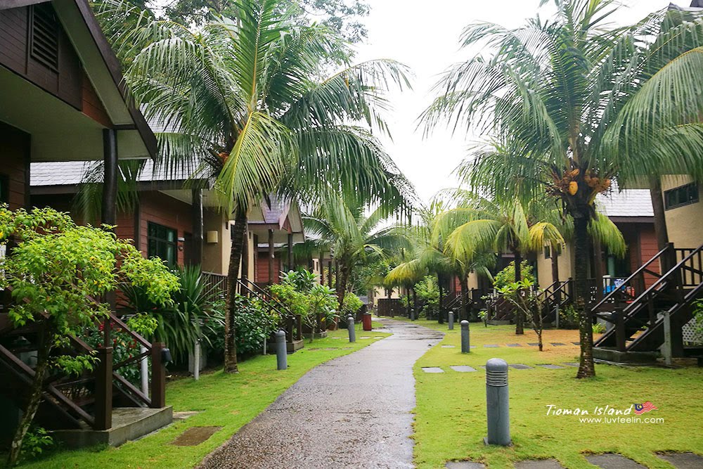 Kampung Asah Waterfall of Tioman Island 徒步刁曼岛寻【甘榜阿沙瀑布】 - 乐飞翎 ♥ LUVFEELIN