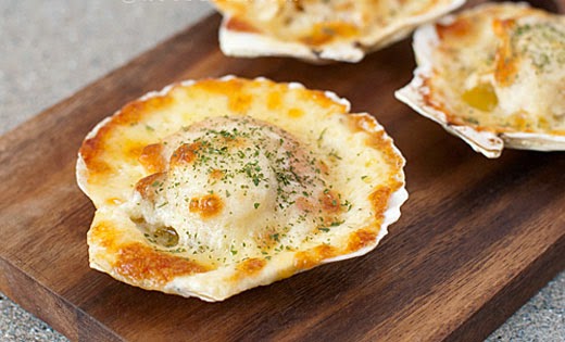 Anniesantiago13: St. James Scallop