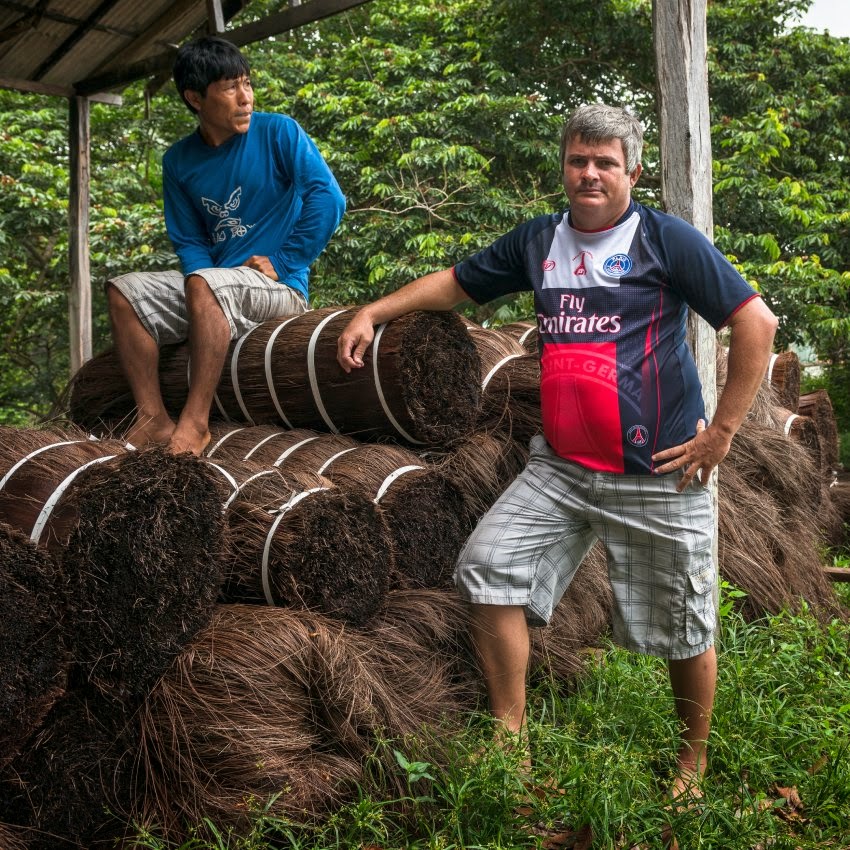Arquivos do Insólito: Ufologia, Criptozoologia, Fenômenos Anômalos ...