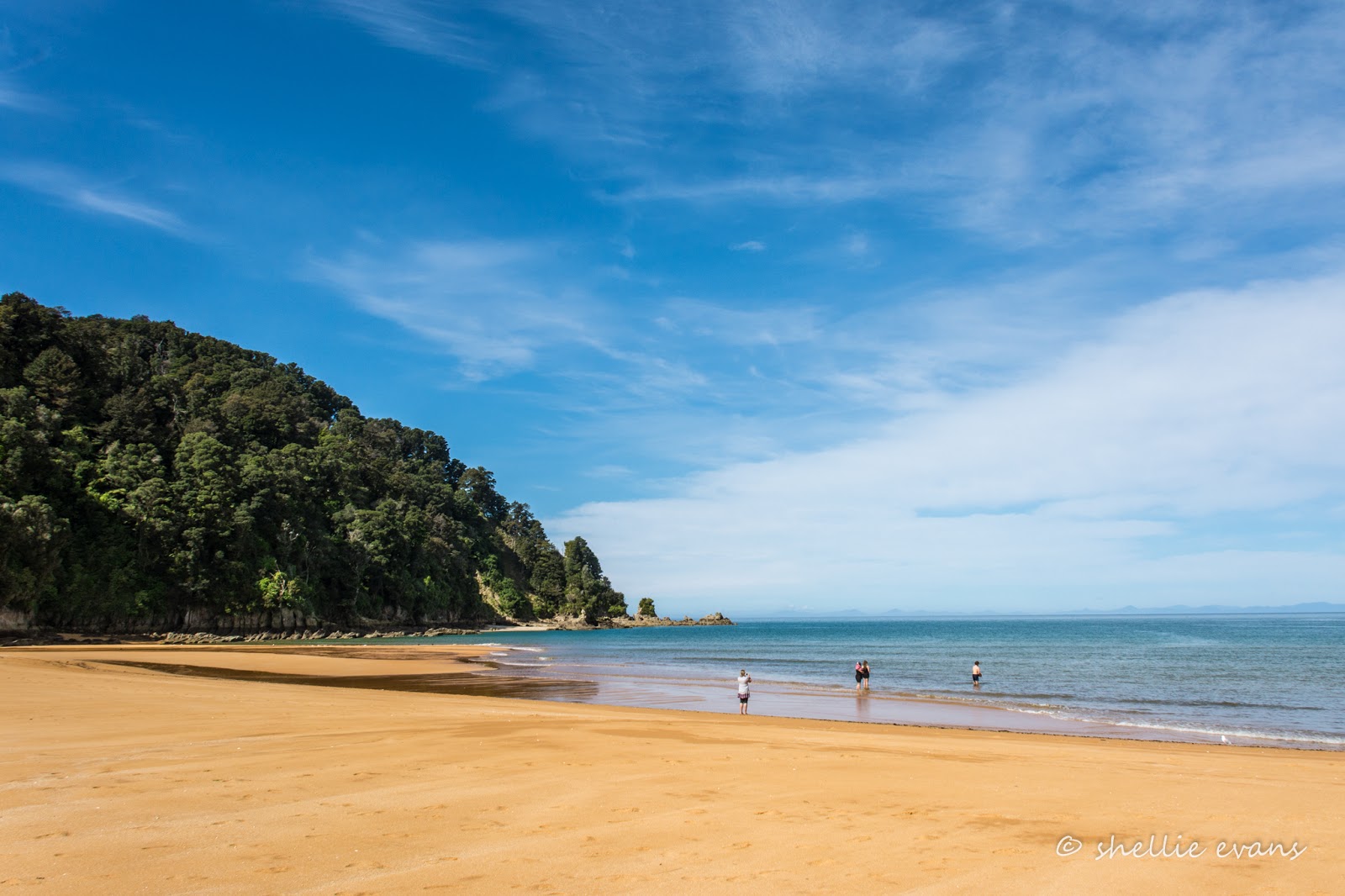 Two Go Tiki Touring: Totaranui- Bird Paradise