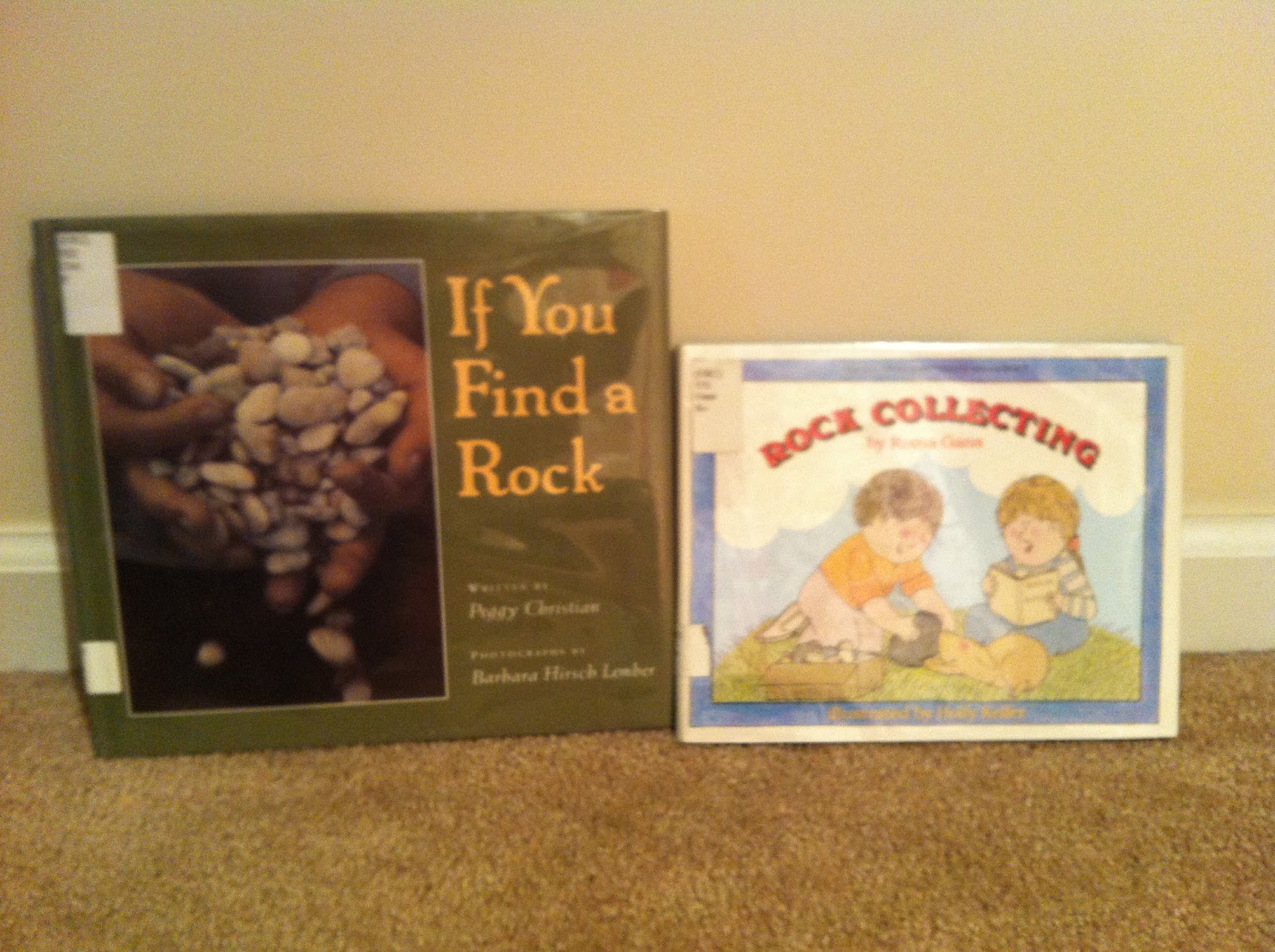 Science Chat: Rock Box Investigation