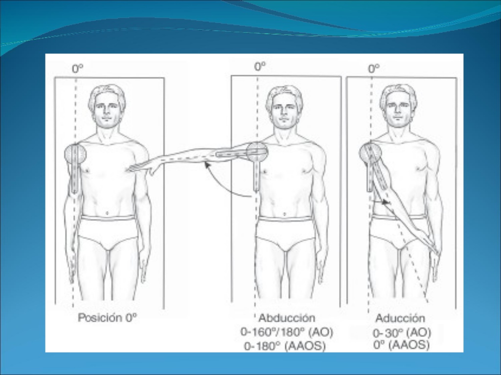 Goniometría miembro superior e inferior