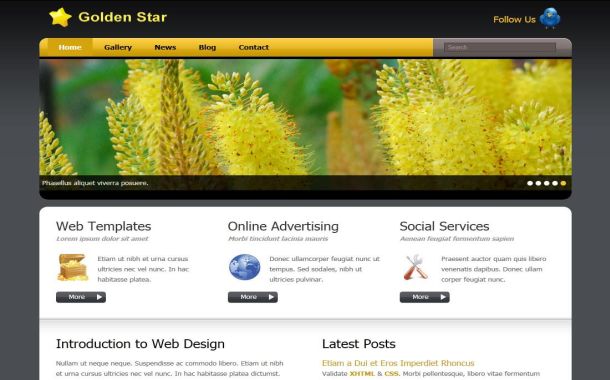 Portfolio Gold Yellow Grey CSS Template Download