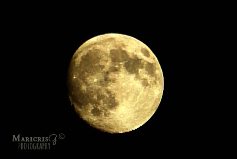 Zensible Mama: Much Ado about the Moon: Photographic Journal of the ...