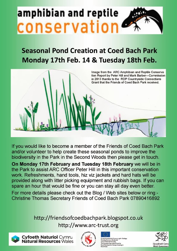 Friends Of Coed Bach Park: February 2014
