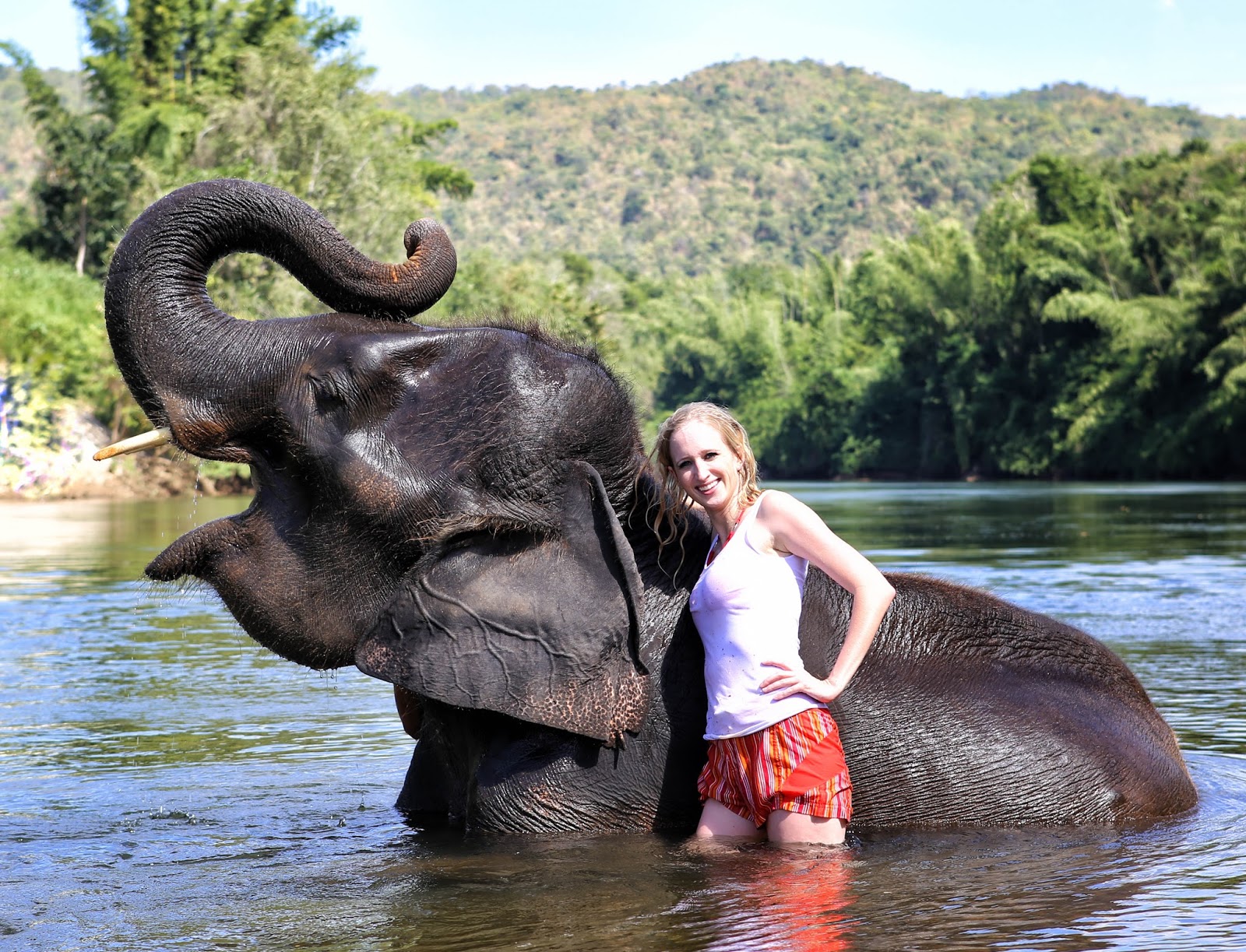 The Champagne Saloon: Swimming With Elephants