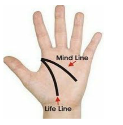 मस्तिष्क रेखा:(Brain Line) ~ Hast Rekha