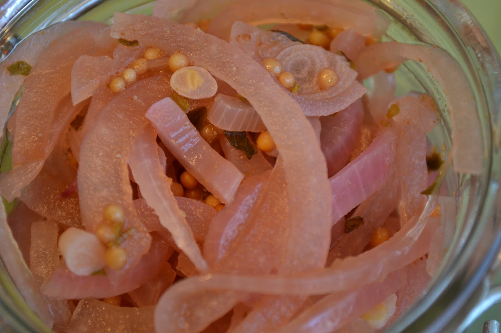 A Taste of Alaska: Pickled Red Onions