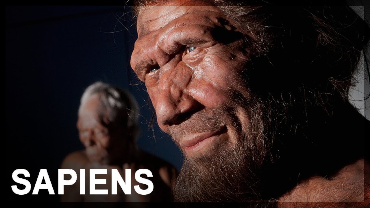 Liberte Sua Mente: Sugestão de leitura - "Sapiens" de Yuval Harari