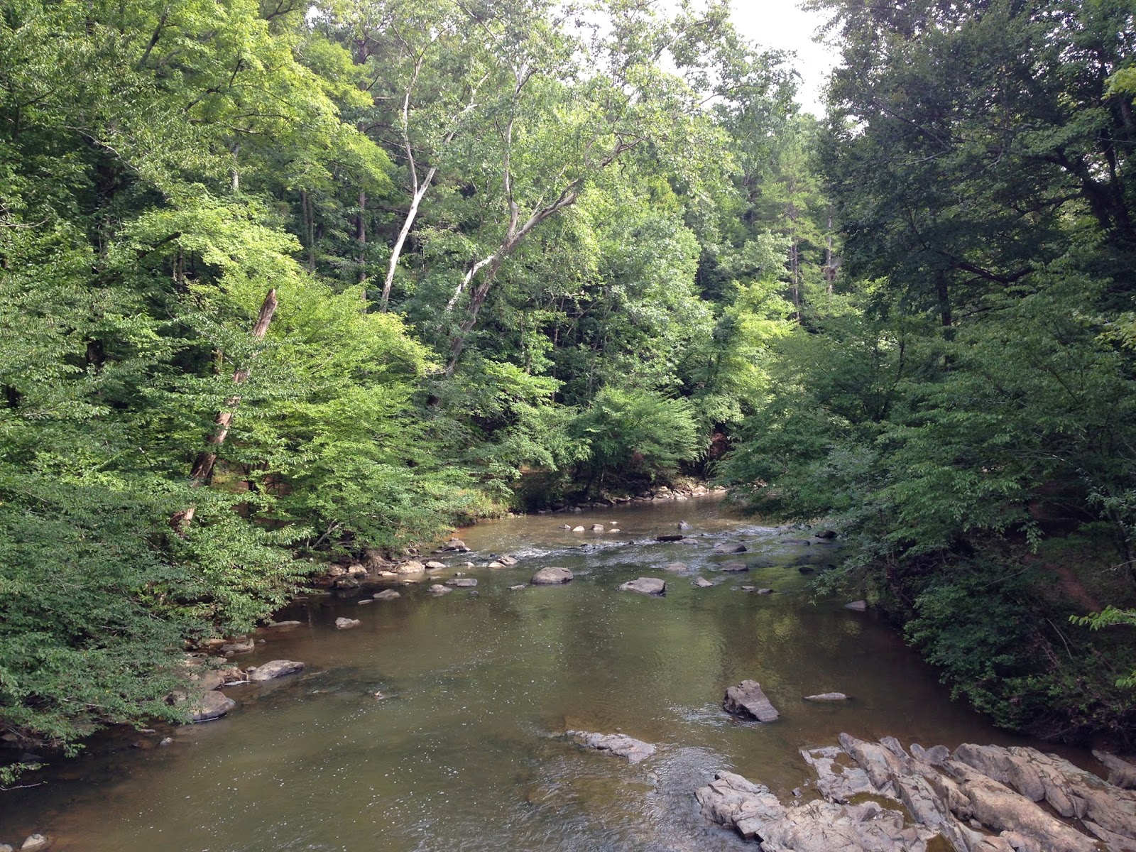 North Carolina Hikes: Eno River State Park (Hike Pictures)