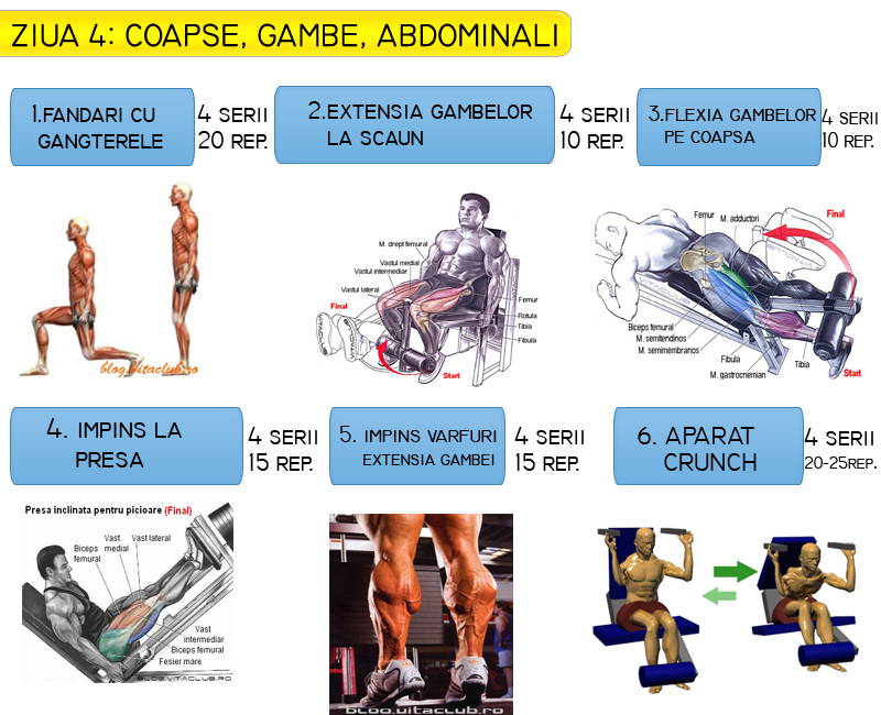 Sala de forta - exercitii , programe , alimentatie