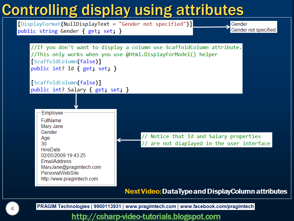 Sql Server Net And C Video Tutorial Part 40 Display Name Display Format Scaffold Column