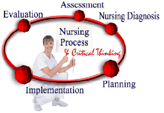 Steps of The Nursing Process | Pocket Guide